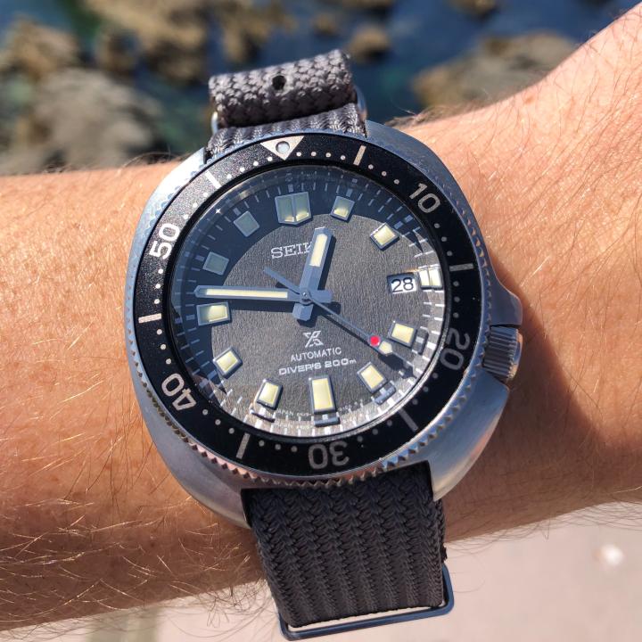 Seiko Turtle - Guide d'Achat, Prix et Avis Clients | Dialicious