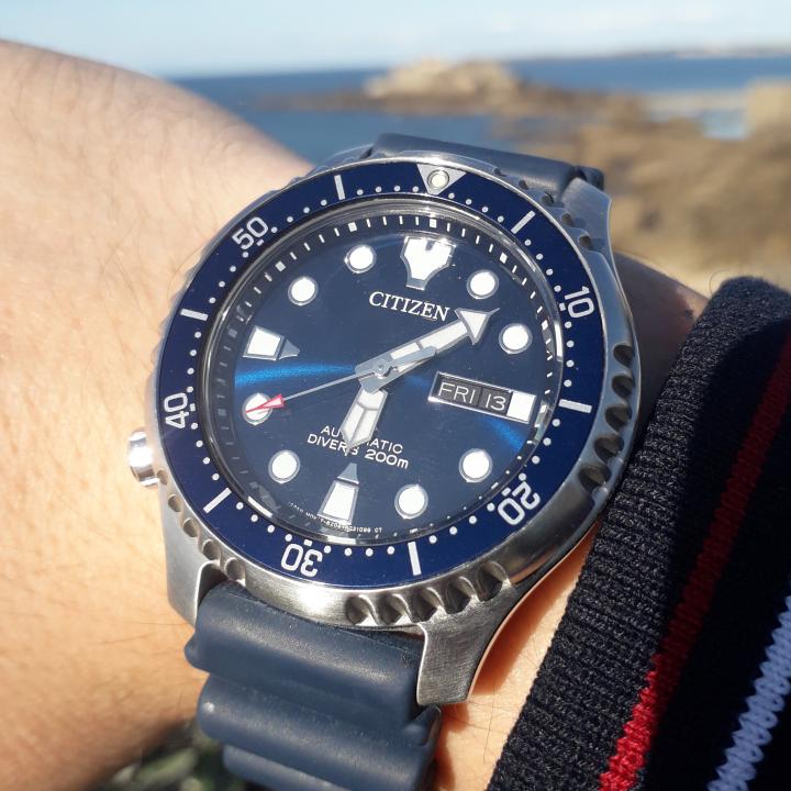 Citizen Promaster Marine - Main References, Price & Real Owners ...