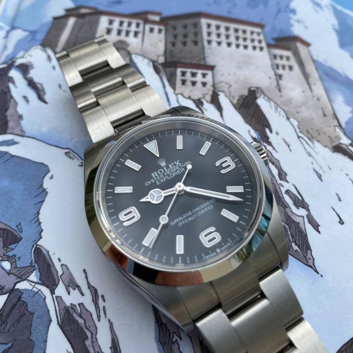 Rolex Explorer - Guide d'Achat, Prix et Avis Clients | Dialicious