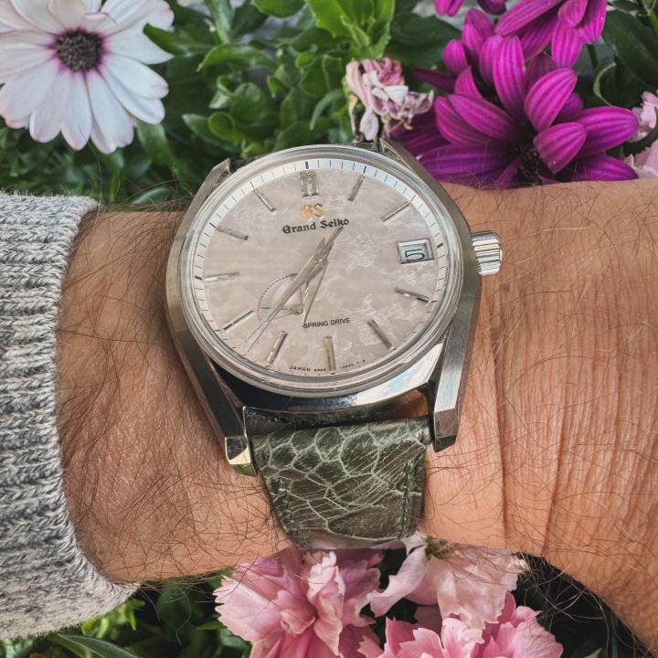 Grand Seiko SBGA - Guide d'Achat, Prix et Avis Clients | Dialicious