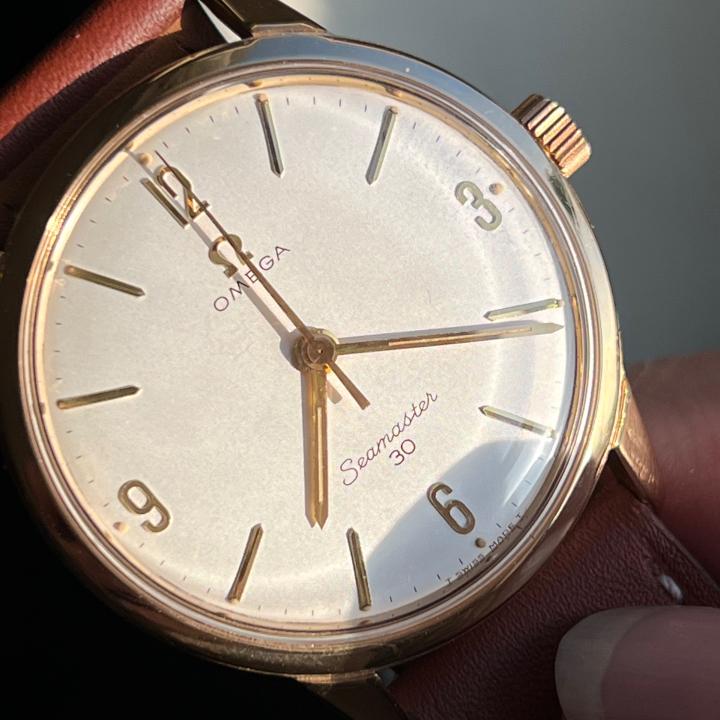Omega Seamaster Owner Review : Solar, dazzling, beautiful - Dialicious