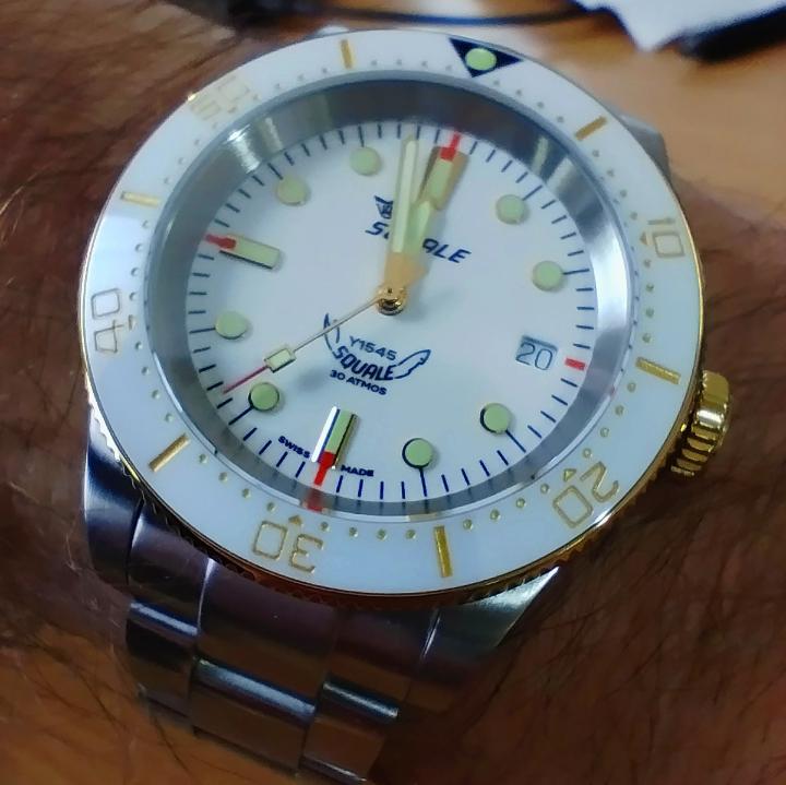 Montres Squale - Histoire, Modèles et Avis Clients | Dialicious